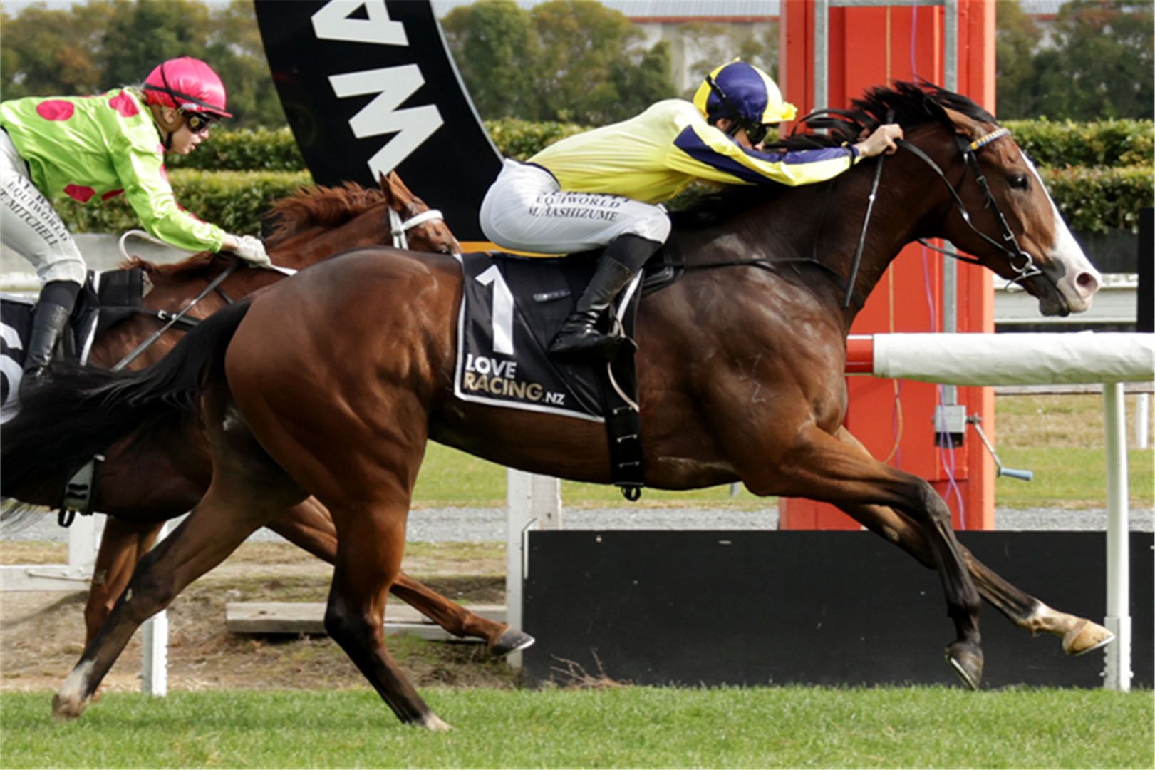 General Menari Salutes At Te Rapa | Racing and Sports