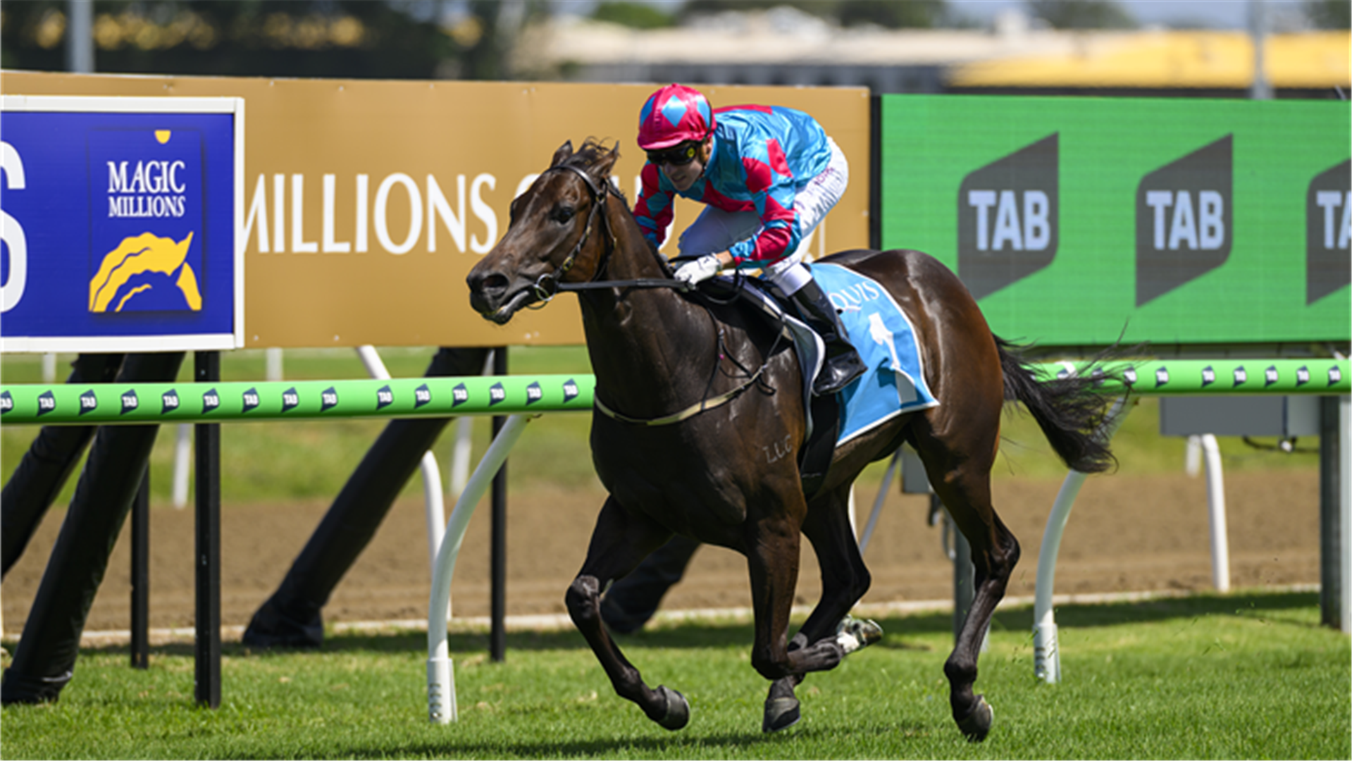 Itchintogo Wins Aquis Gold Nugget Qtis 2Yo C&G: Post Race Trainer And ...