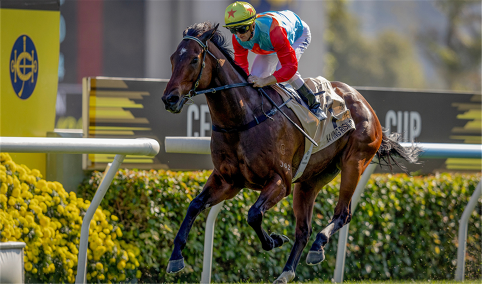 Ka Ying Rising To More Record Challenges | Racing and Sports