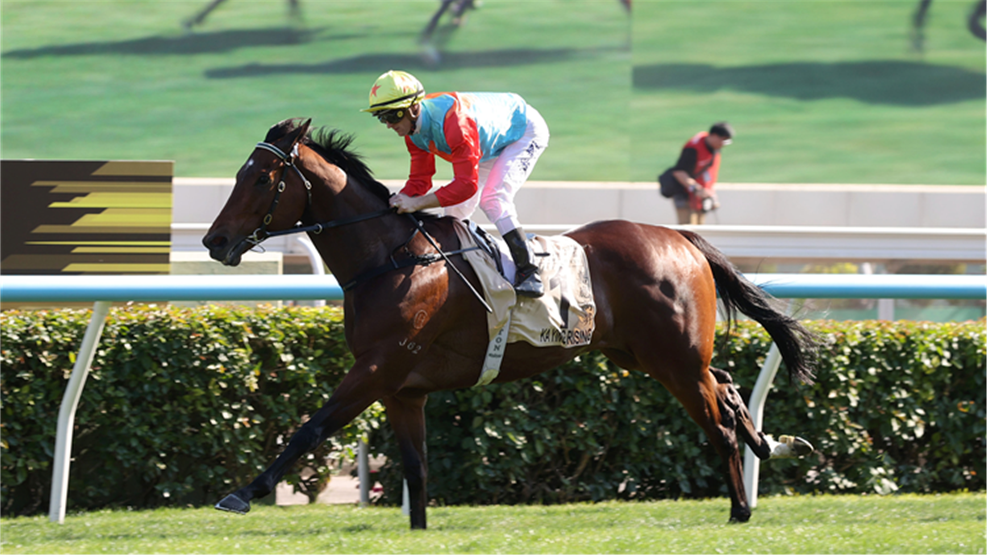 Hong Kong's Super Stars Shine Brightly | Sky Racing World | Sky Racing ...