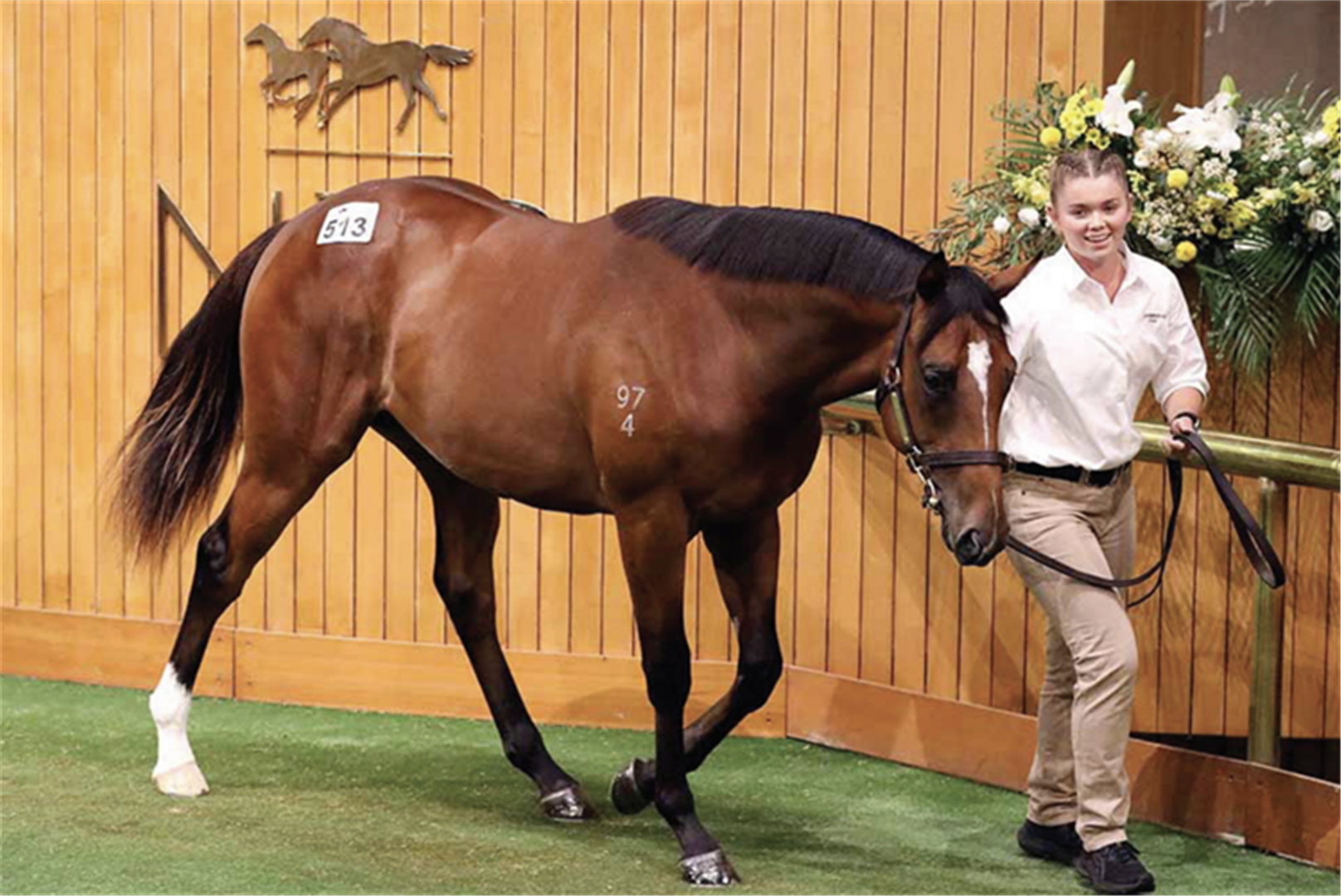 Karaka Book 1 Sets New Benchmark At Centennial Sale | Racing and Sports