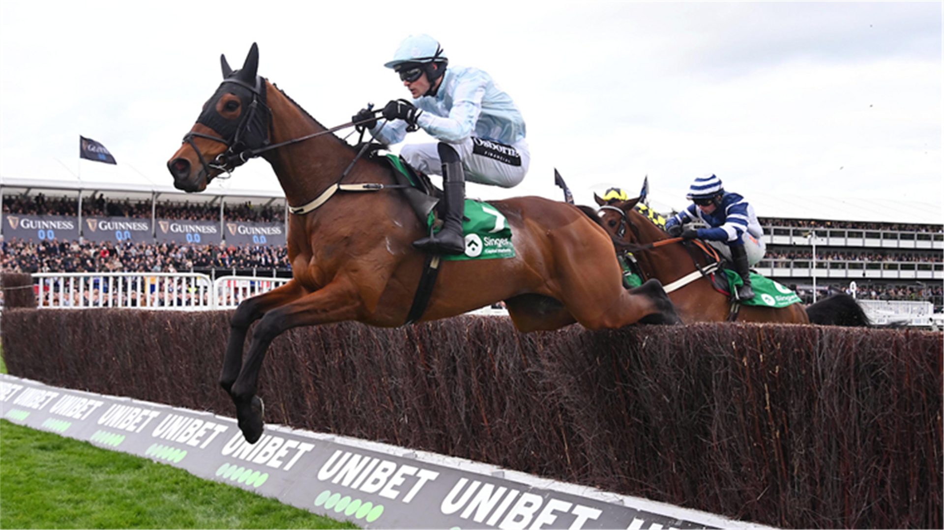 Kargese Leads Home Arkle One-Two For Willie Mullins | Sky Racing World ...