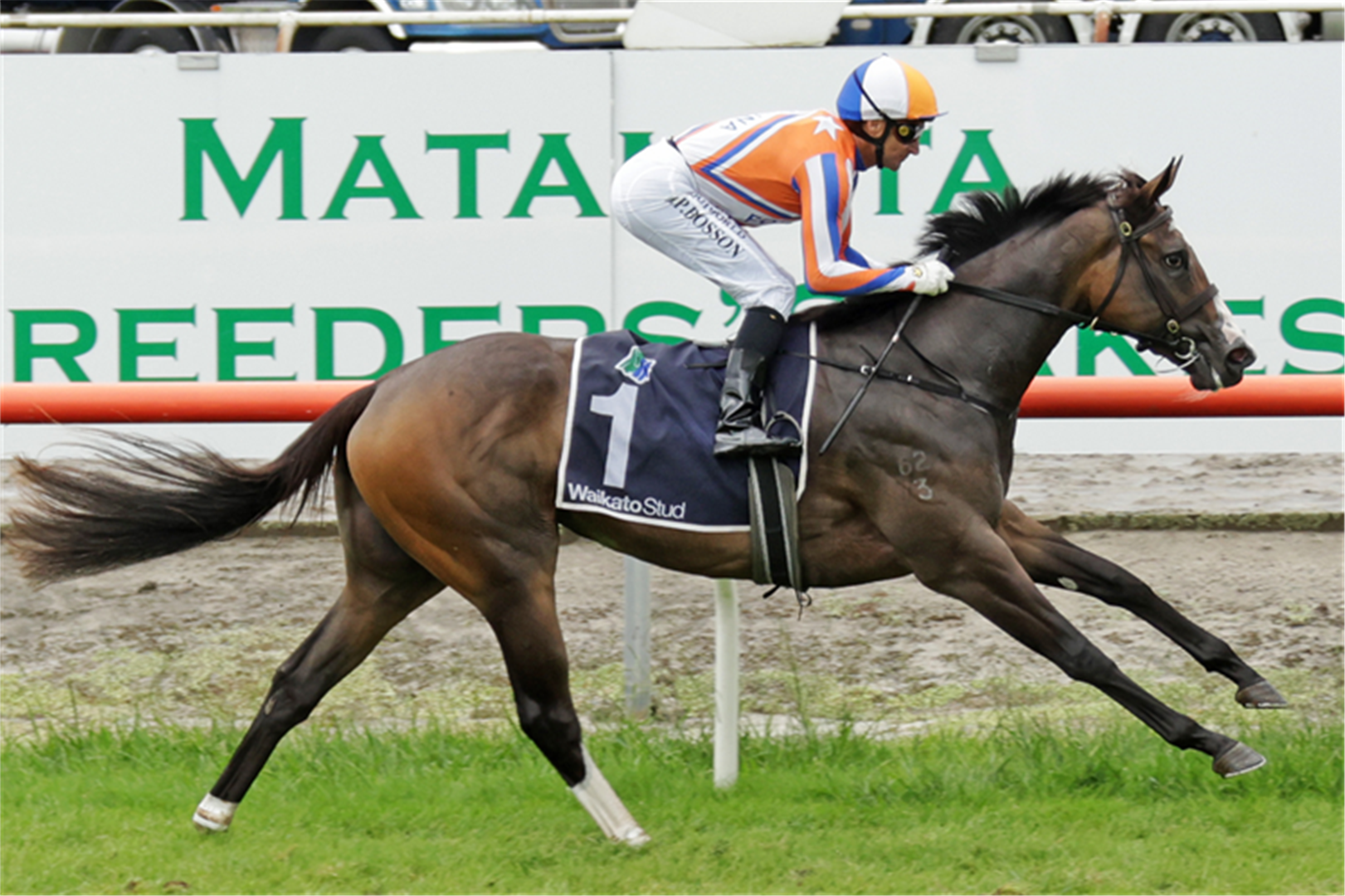 Lara Antipova Continues Unbeaten Run | Racing and Sports