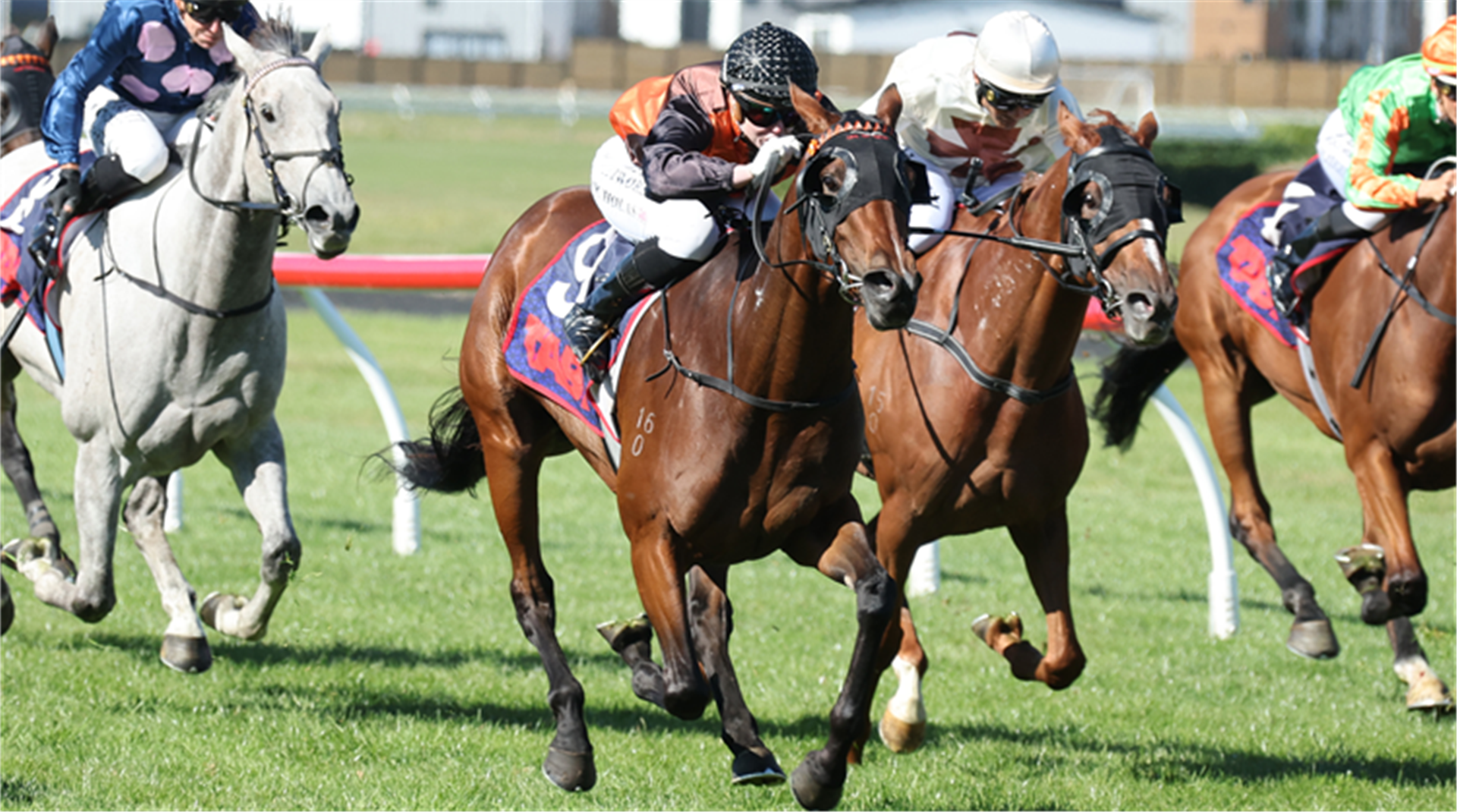 Latest Model Struts Her Stuff In St Leger | Sky Racing World | Sky ...