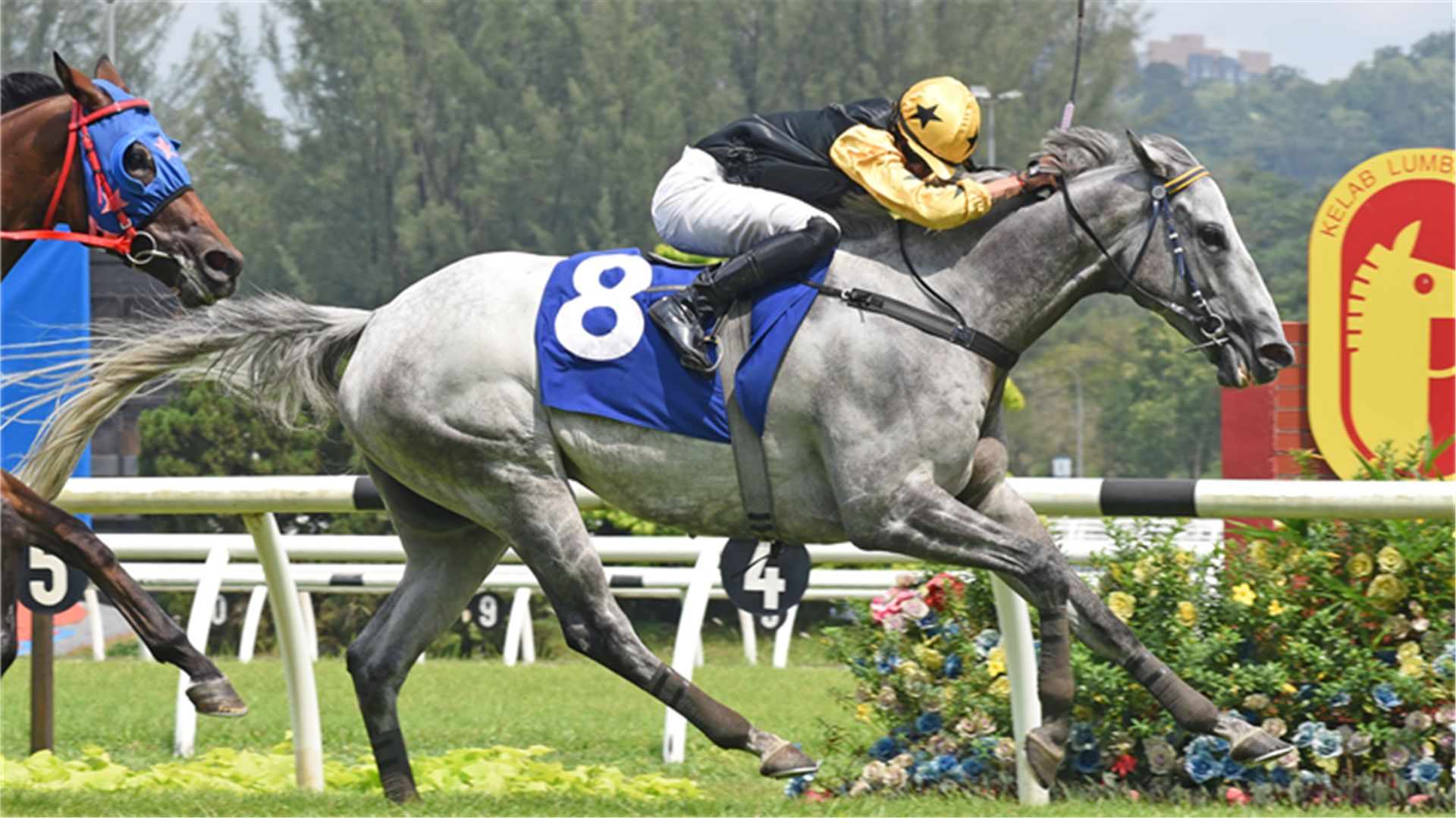 Latin Legend Making The News Again | Racing and Sports