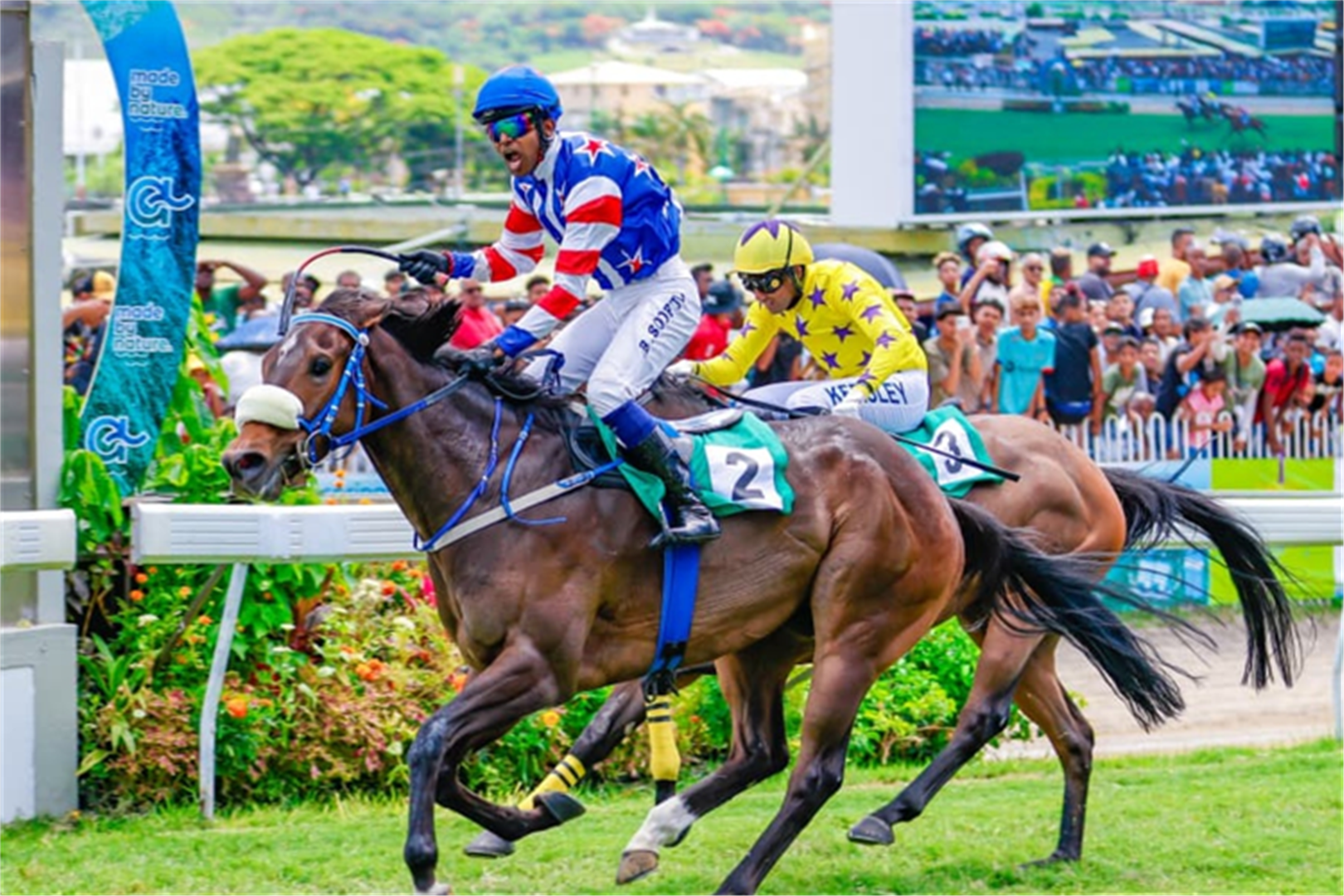 Horse Racing | Racing News | Betting | Mauritius Turf Club