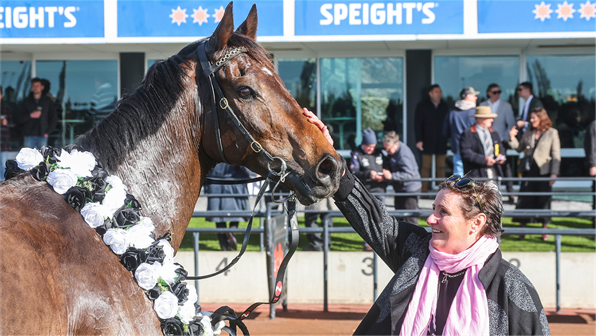 Lord Spencer All Class In Competitive Koral | Racing and Sports