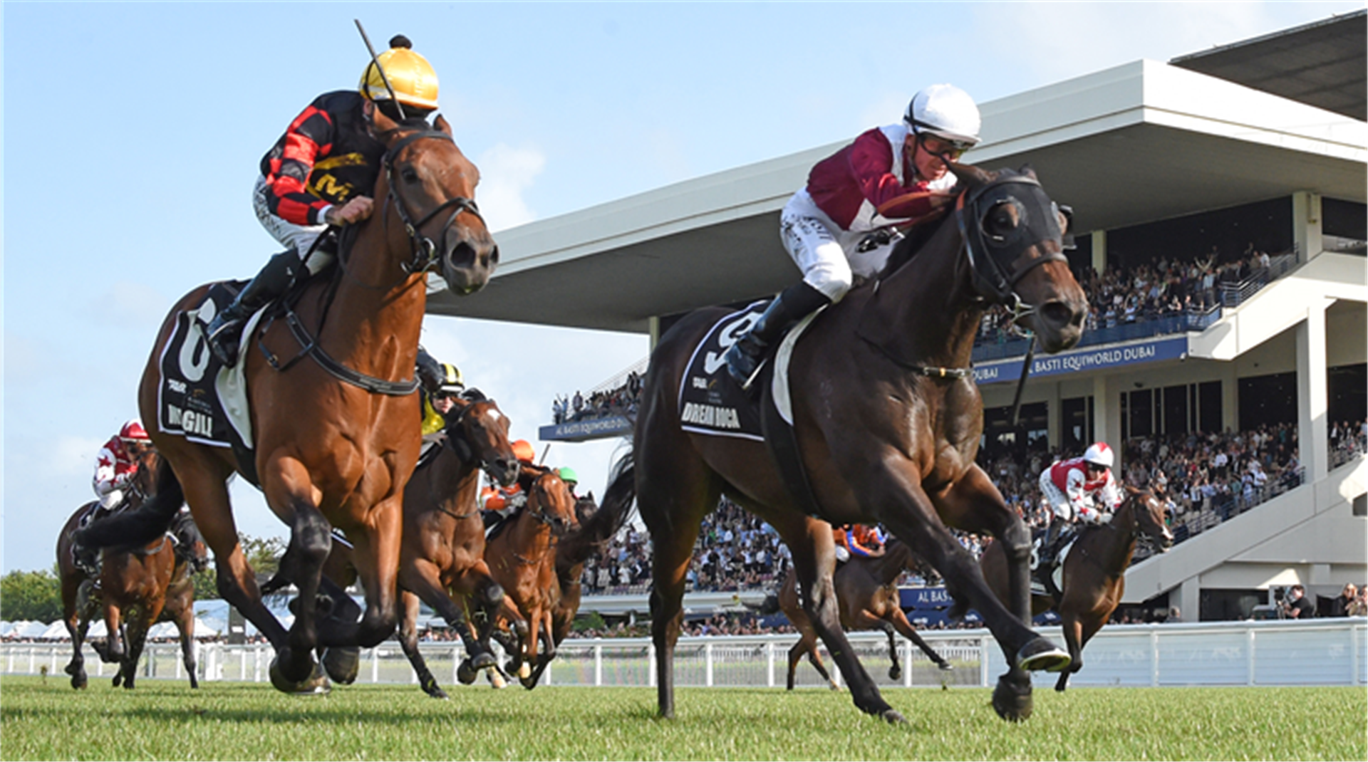 Longshot Lowry Goes So Close Again | Sky Racing World | Sky Racing World