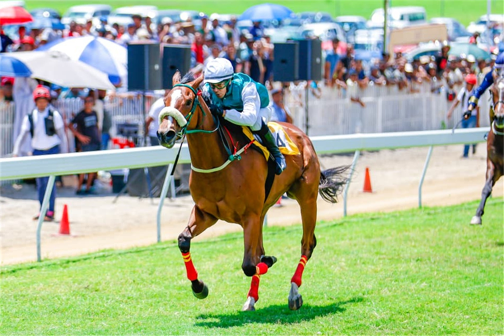 Horse Racing | Racing News | Betting | Mauritius Turf Club