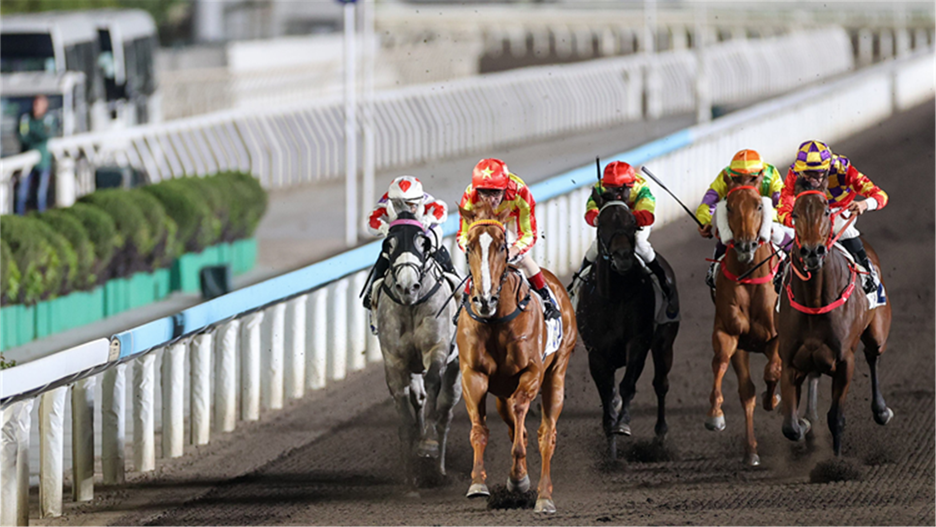 Today’S Horse Racing Tips - 24th January 2026 | Racing and Sports