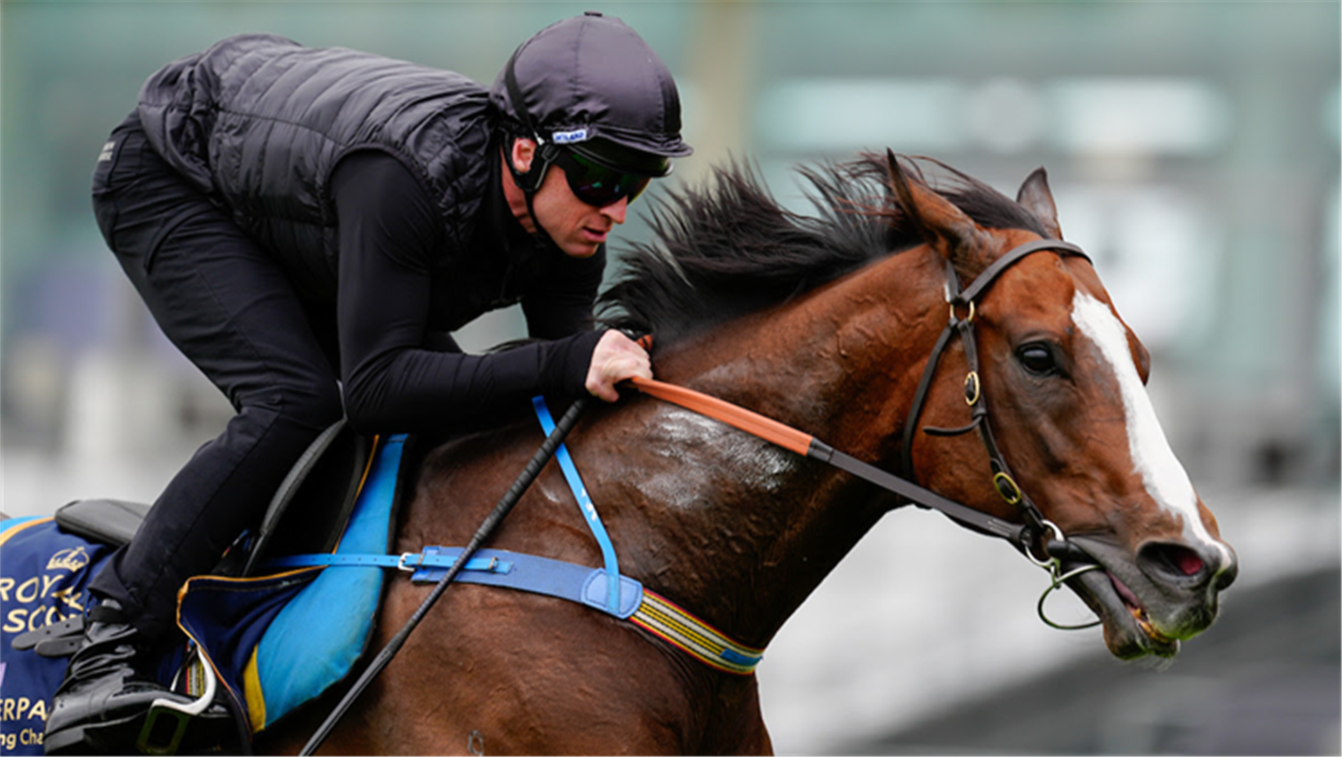 Video: Bjorn Baker Interview After Overpass King Charles 3rd | Racing ...