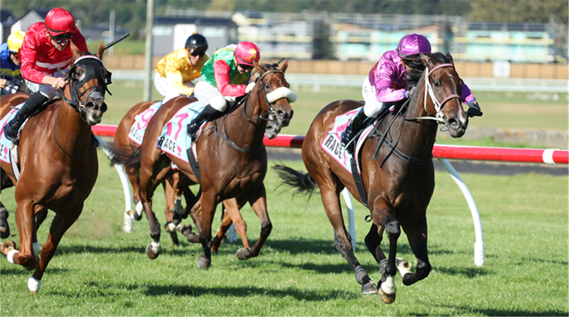 Platinum Attack Back On Top At Trentham | Racing and Sports