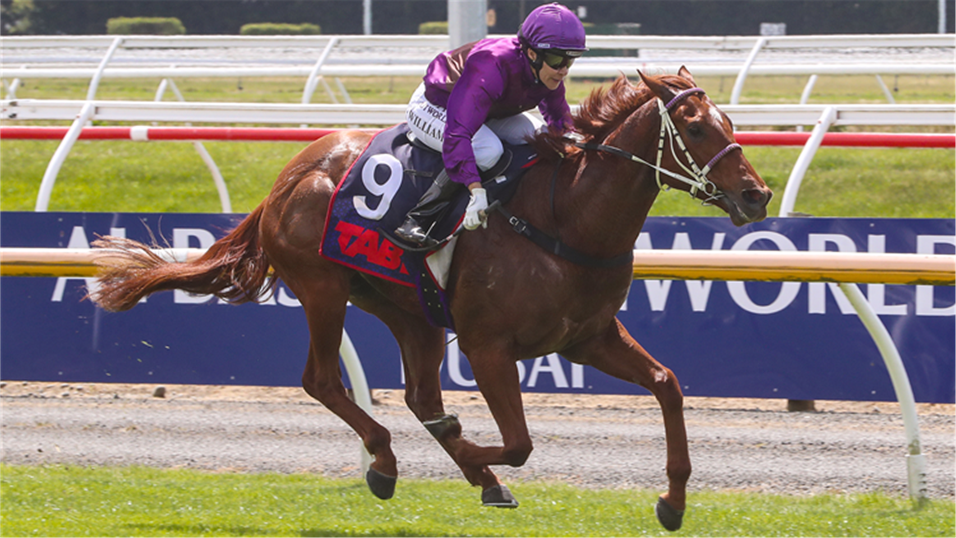 Further Queensland Assignments Await Platinum Pantheon | Racing and Sports