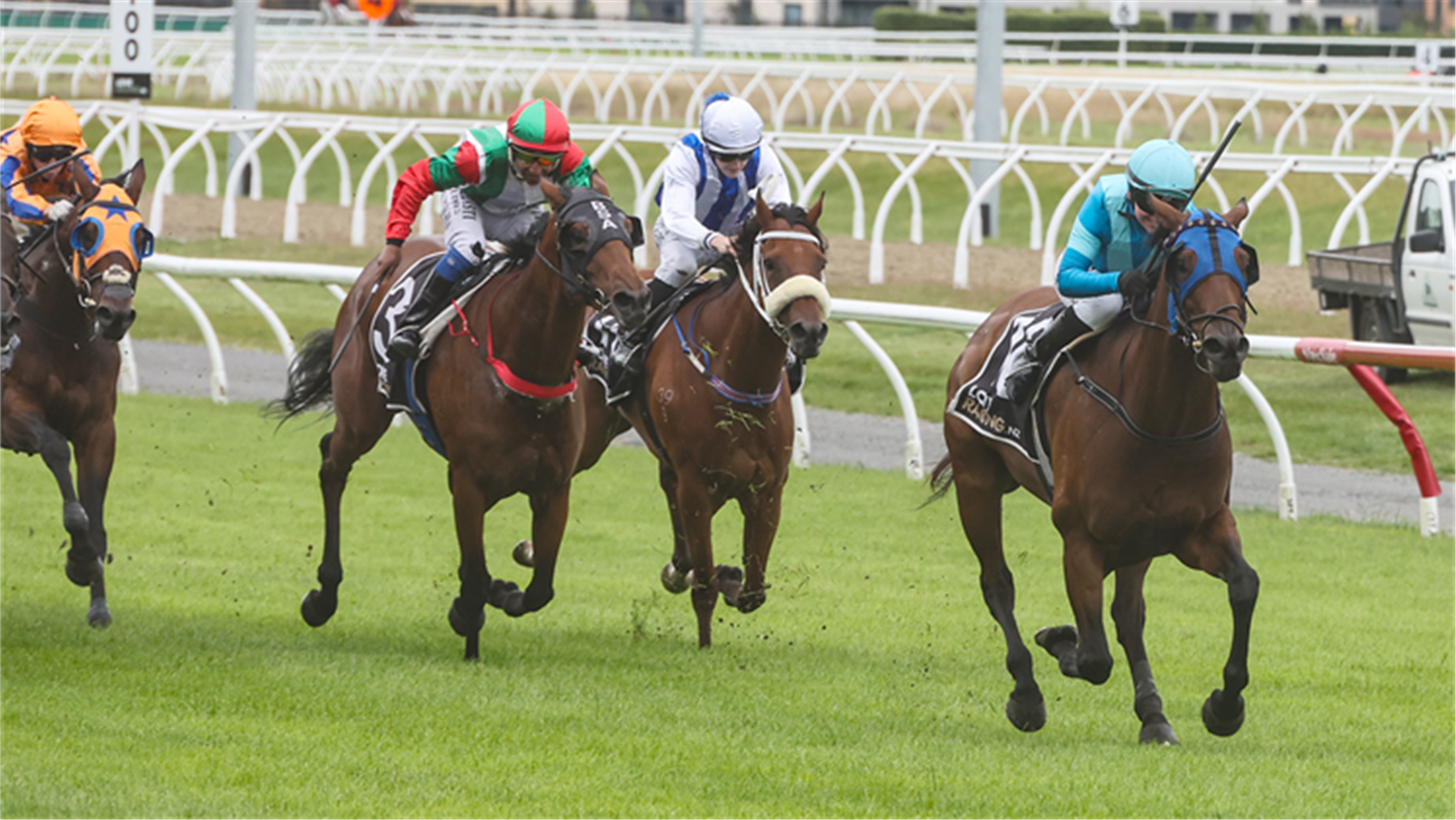 Northern Mare Takes Timaru Stakes | Sky Racing World | Sky Racing World
