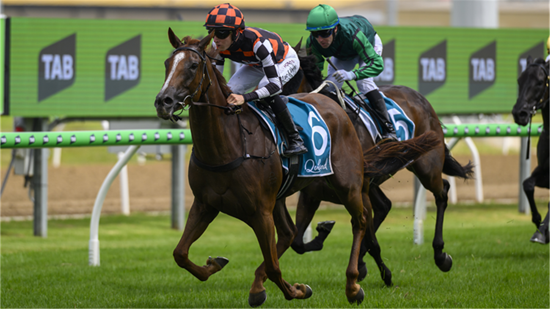 Snitzanova Wins The Magic Millions Subzero: Post Race Trainer And ...