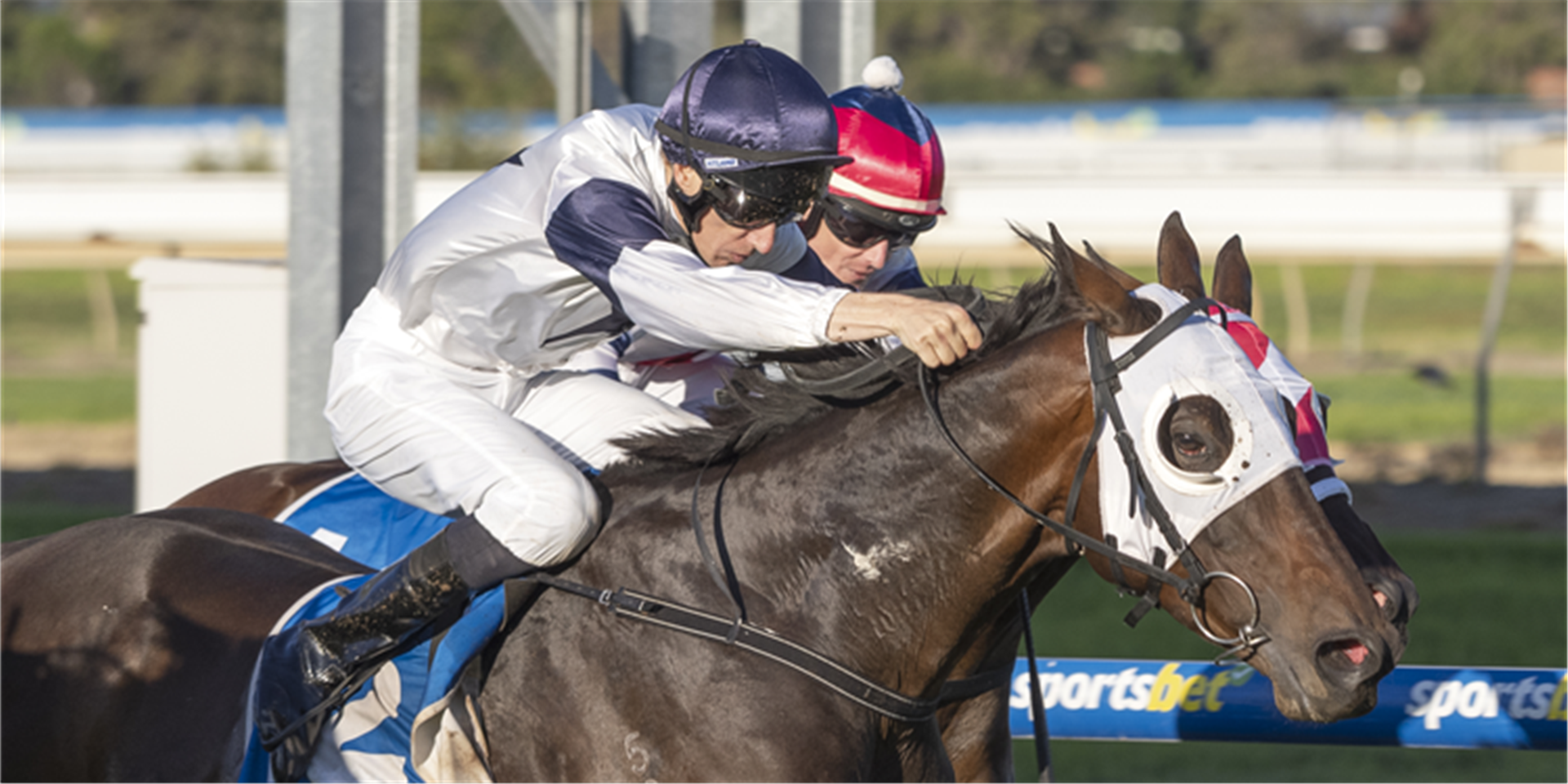 Punt Preview: Morphettville Parks (6/6) | Racing and Sports