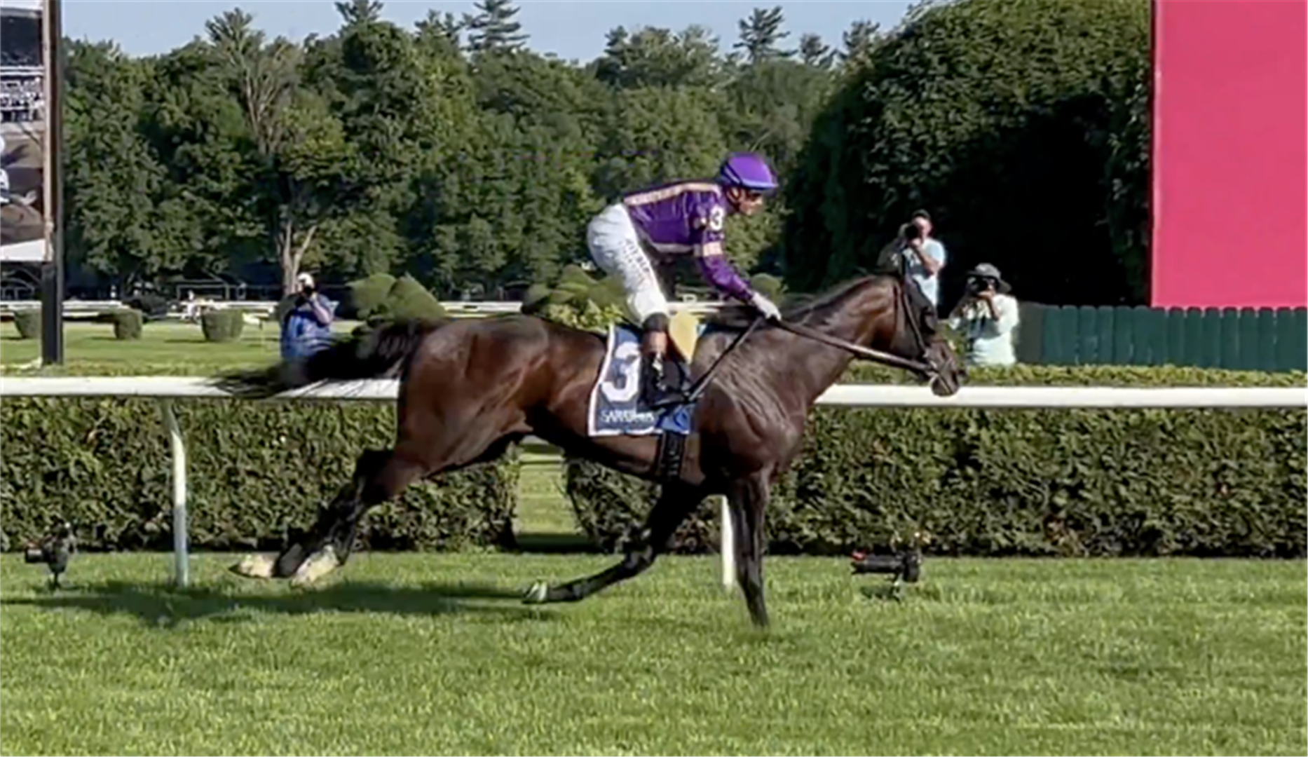 Tawny Port Takes Usa Melbourne Cup Golden Ticket | Racing and Sports