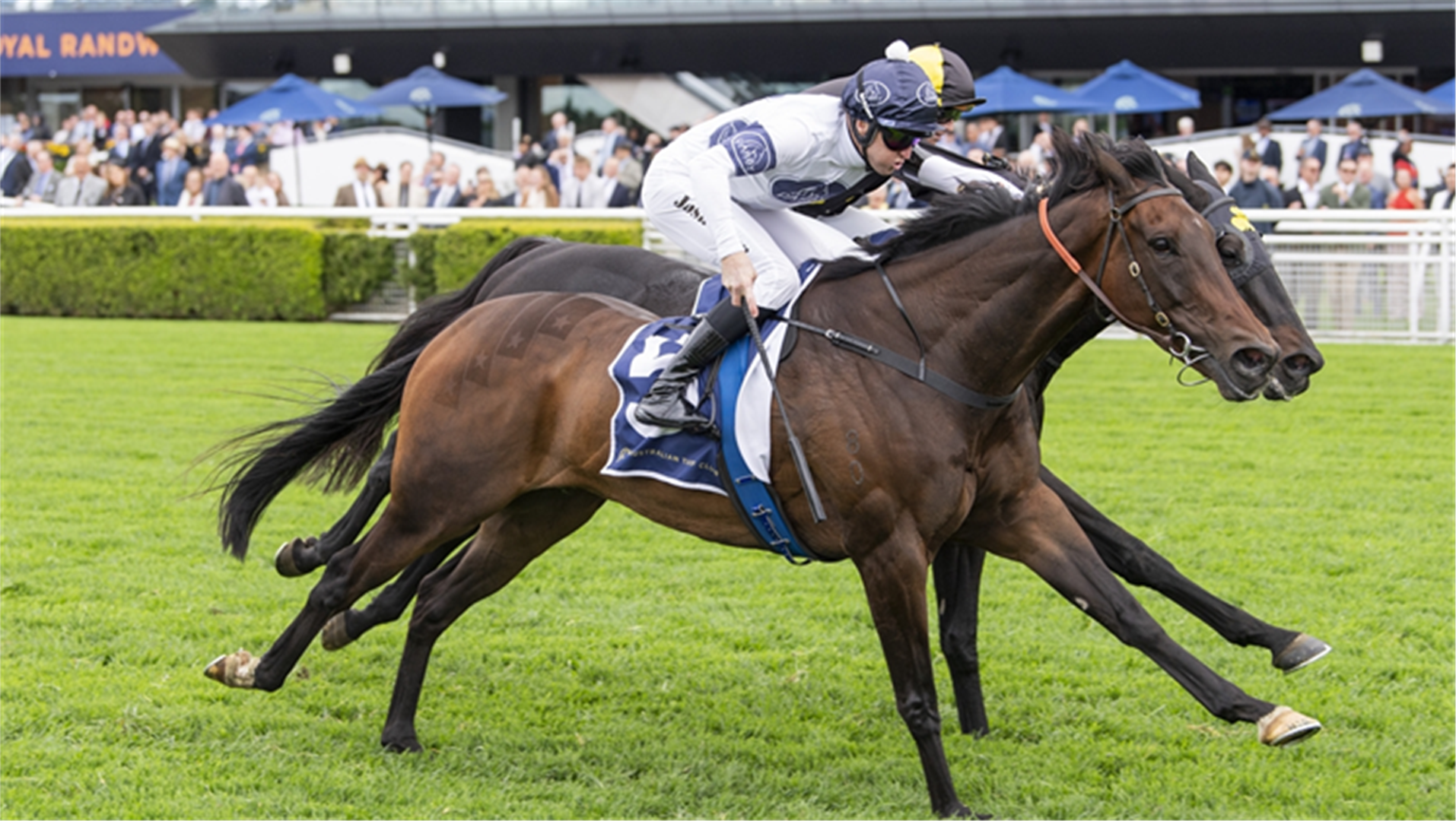 Baker Eyes Brisbane Cup With Thebudgiesmugla | Racing and Sports