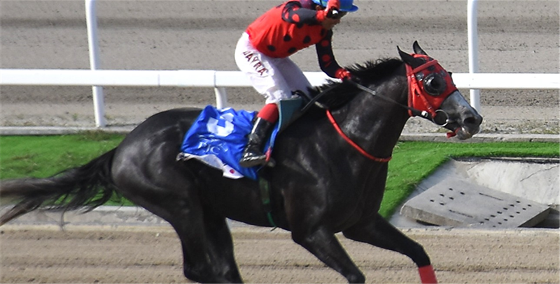 Tough Customer Relentless / Bea Bell Bounces Back | Racing and Sports