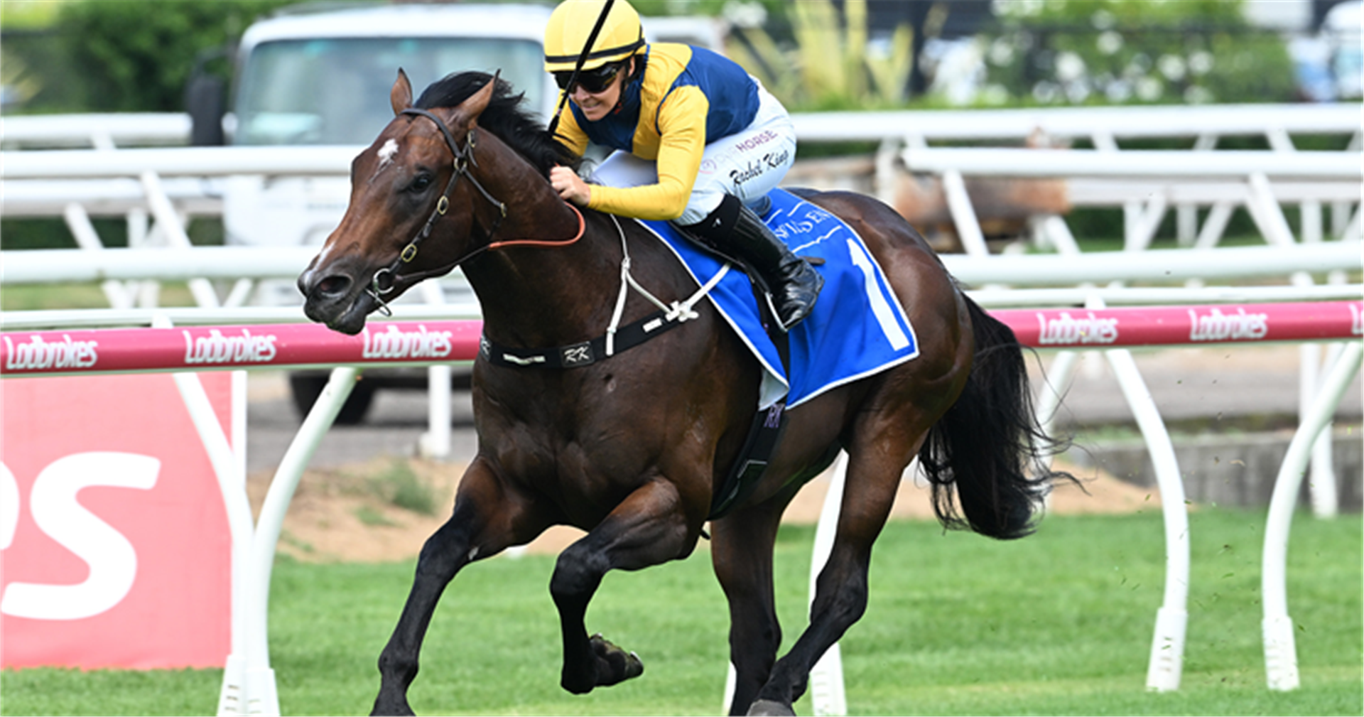 Warwoven Firms After Magic Millions Draw | Racing and Sports