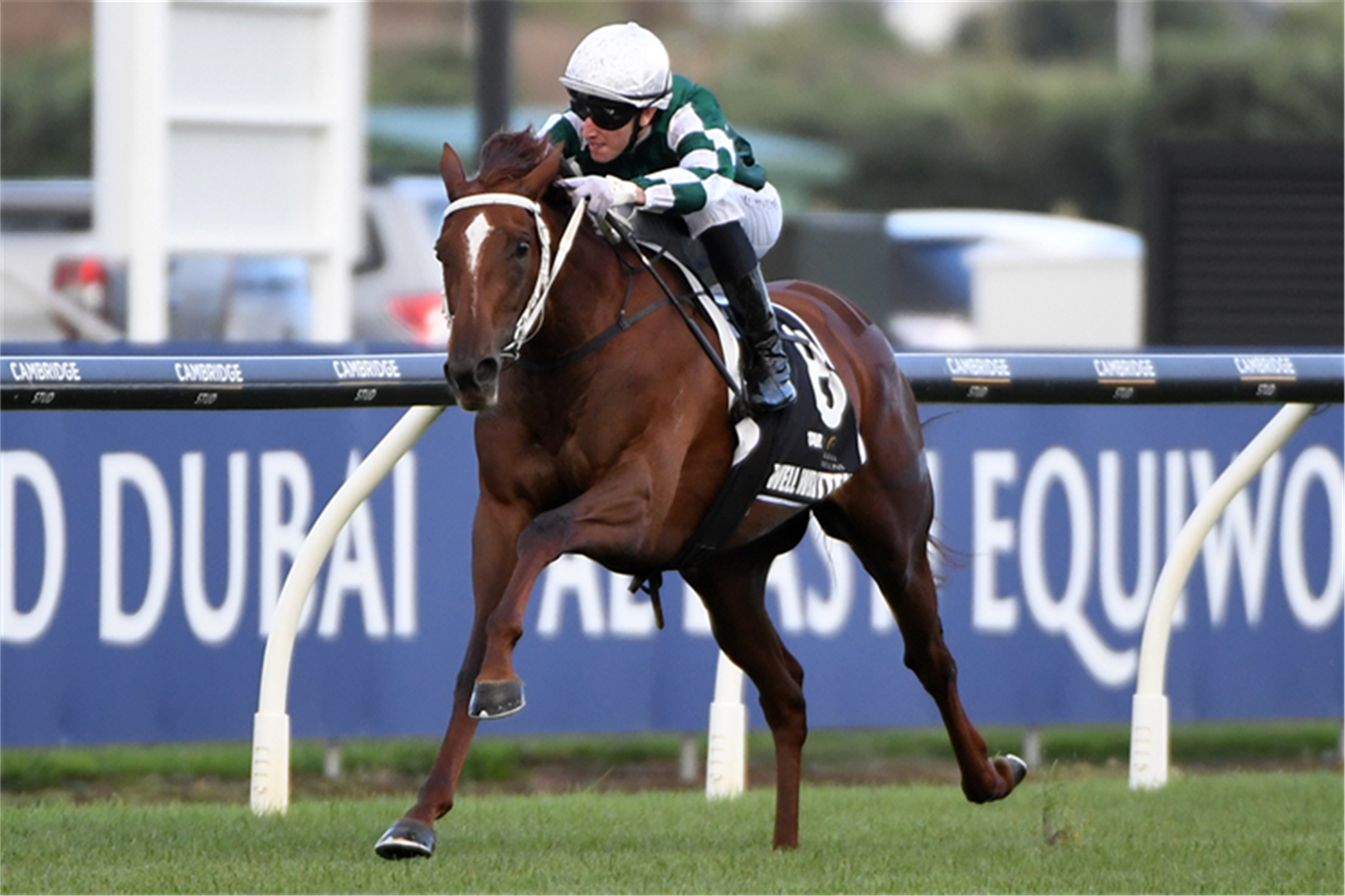 Talking Points: 24th Of January 2026 | Racing and Sports