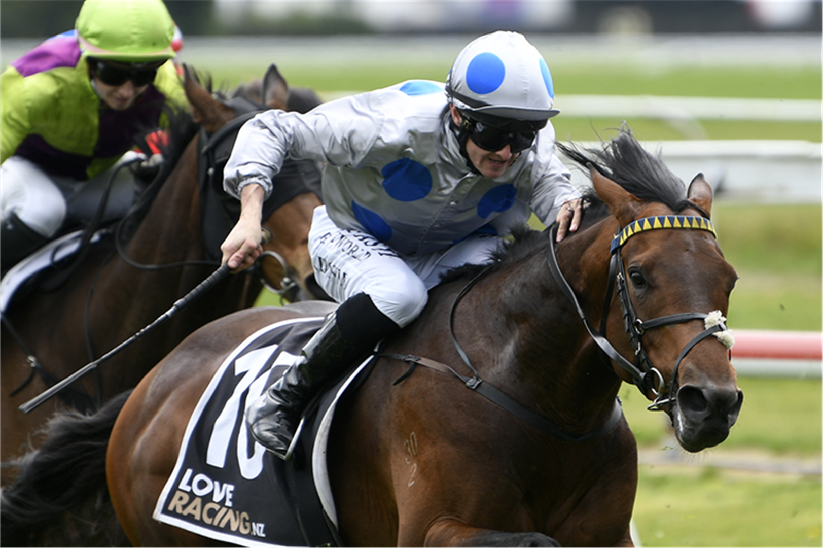 Yamato Satona Ready For Ellerslie Feature | Racing and Sports