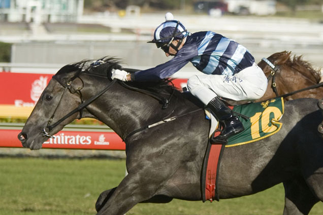 Owner/Breeder Trevor Stuckey Dies | Racing and Sports