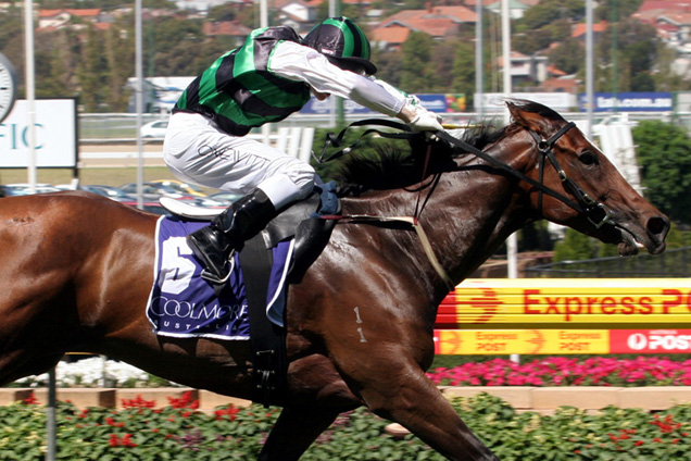 Queanbeyan (Australia) Racecourse | Thoroughbred | Races Today | Racing ...