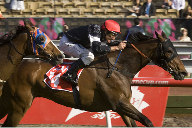 2021 Chatham Stakes: Race History | Racing and Sports