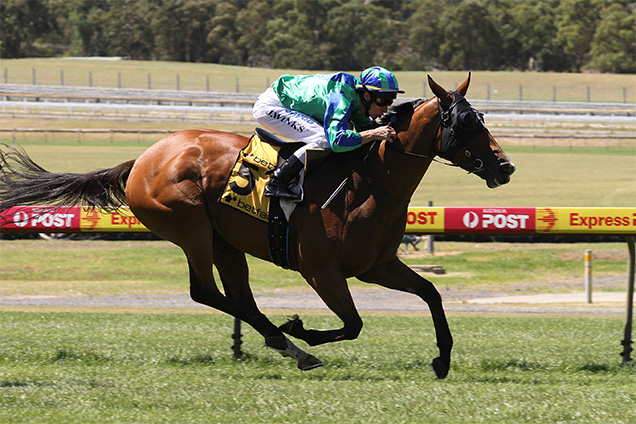 Mathews Hoping To Come Up Roses At Awapuni | Racing and Sports