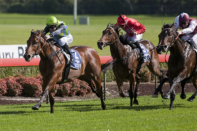 2021 Up And Coming Stakes: Race History | Racing and Sports