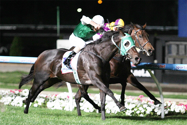 2022 Sunline Stakes: Race History | Racing and Sports