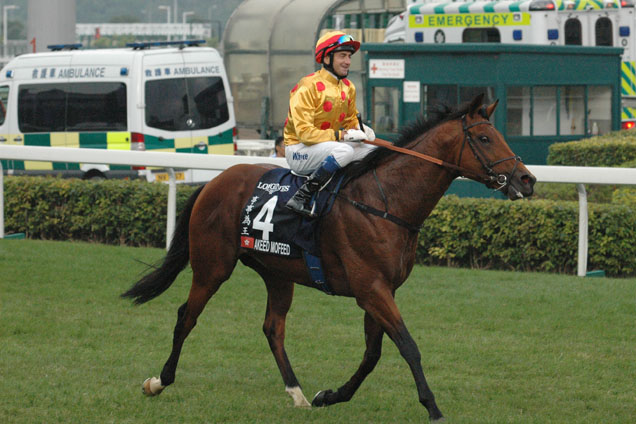 Dubawi Represented By Akeed Mofeed | Racing and Sports