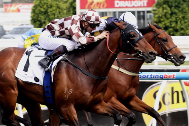 Backbone Back To Best | Racing and Sports