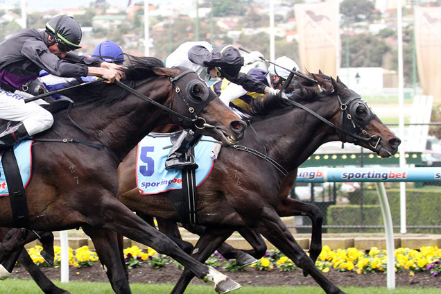 Gai On Track To Win First Cup | Racing and Sports