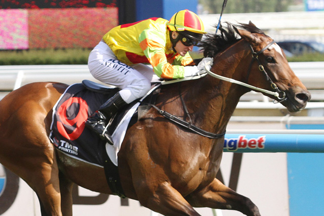 2022 Kevin Heffernan Stakes: Race History | Racing and Sports