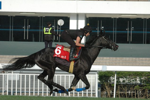 Side Glance After A Second Mackinnon | Racing and Sports