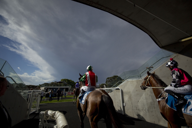 Royal Randwick Track Update | Racing and Sports