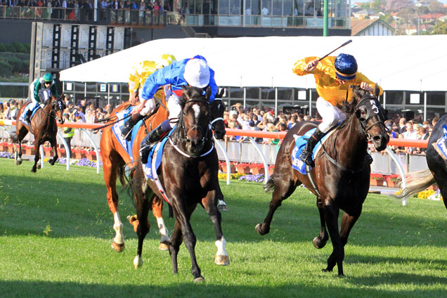 All Eyes On Adelaide At Rosehill Trials | Racing and Sports