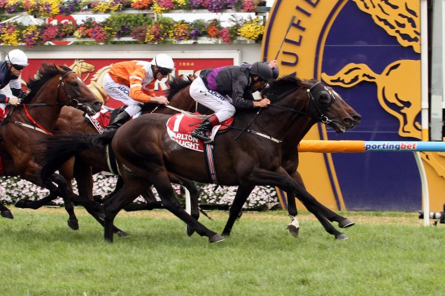 2023 Peter Young Stakes: Race History | Racing and Sports