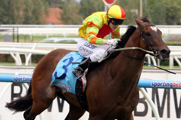 Rupee Yields New Master Figure In Oakleigh Plate | Racing and Sports