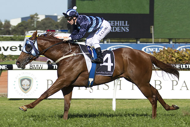 2020 Stan Fox Stakes: Race History | Racing and Sports