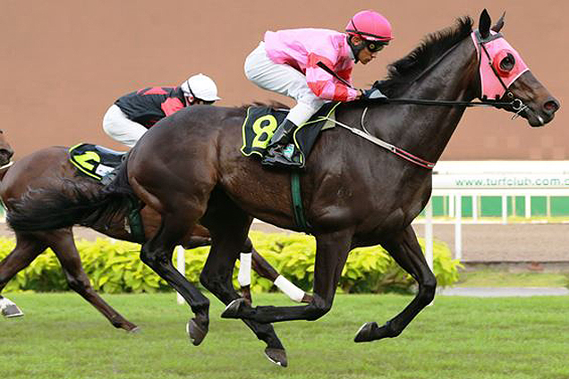 Blue Swede Claims Big Scalp And Earns Derby Ticket | Racing and Sports