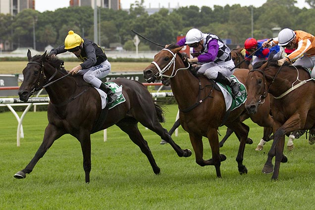 Torn Ligament Explains Caped Crusader Failure | Racing and Sports