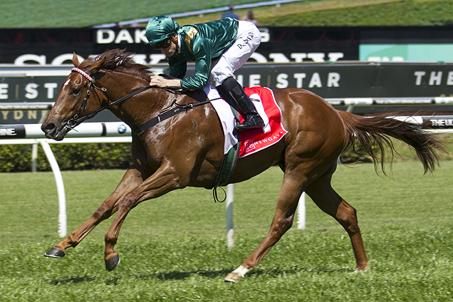 2022 Breeders’ Plate: Race History | Racing and Sports