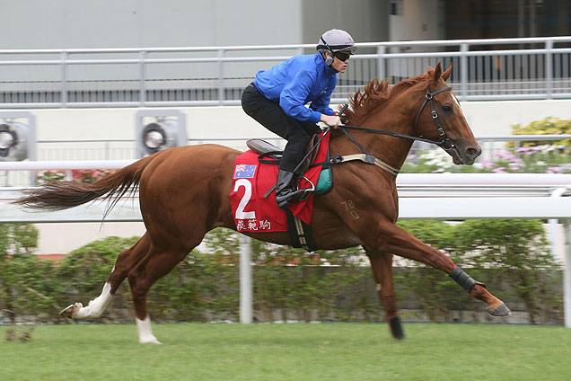 Criterion Feeds Hayes’S Passion For International Travel | Racing and ...