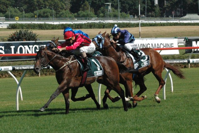 2015 G1 Randwick Guineas - Hallowed Crown King Of The 3Yos | Racing and ...