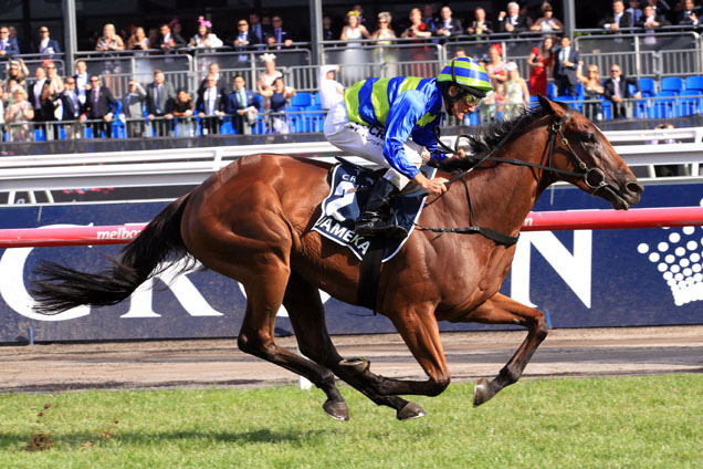 Ride Up For Grabs On Jameka At Caulfield | Racing and Sports