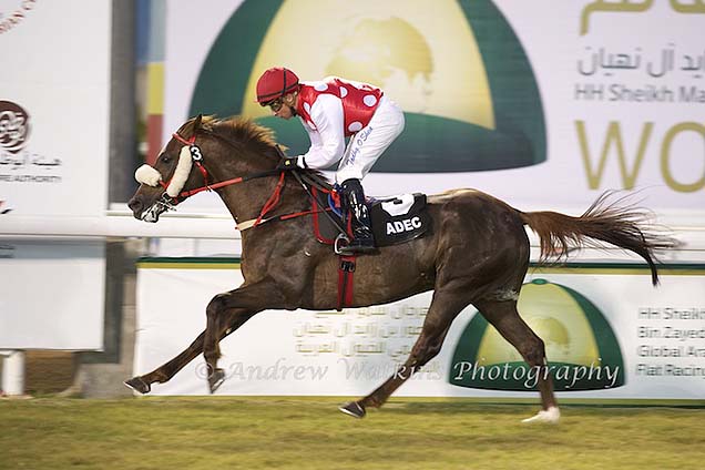 Namrood Seeks Second Consecutive Uae Victory At Al Ain Meeting | Racing ...
