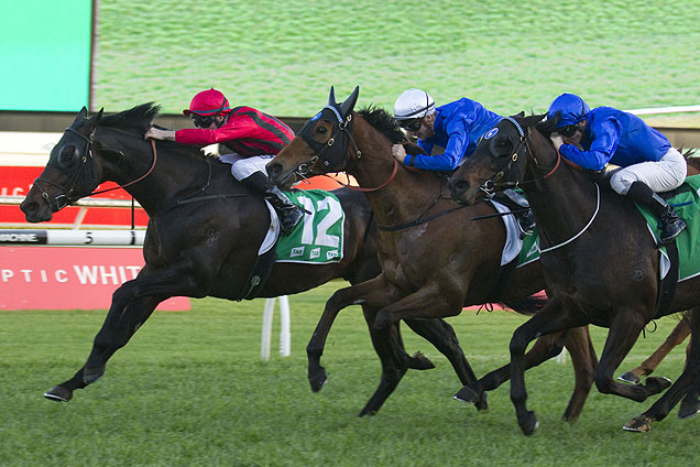Owner Knocks Back Offers For Dynasty | Racing and Sports